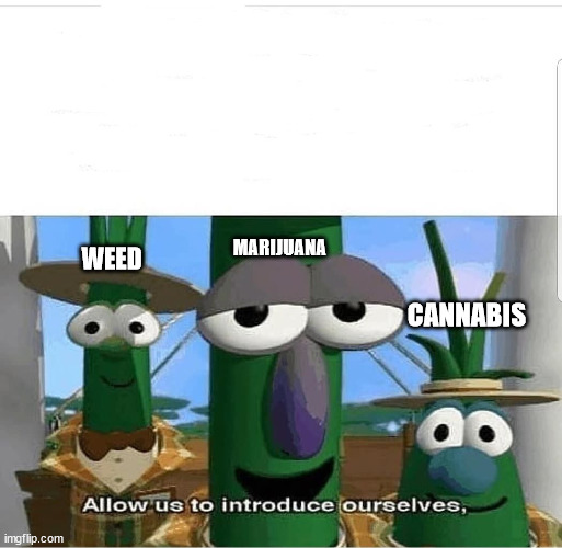 Allow us to introduce ourselves - Imgflip