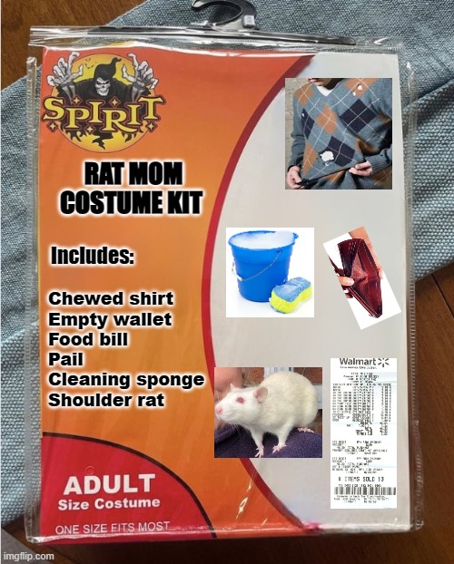 Spirit Halloween Costume - Imgflip