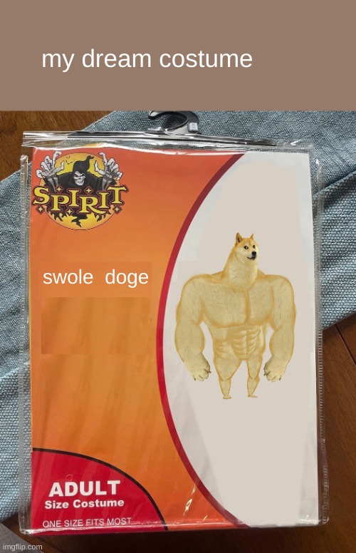 Spirit Halloween Imgflip