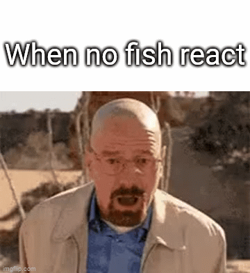 Fish react - Imgflip