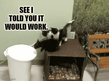 Look I'll Go First - Imgflip