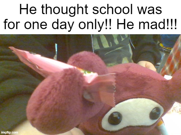 He Thought School Was For One Day Only Imgflip