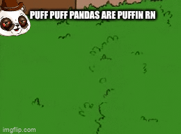 Puff Puff Pandas - Imgflip