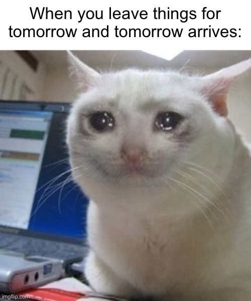 Damn Imgflip Damn Imgflip