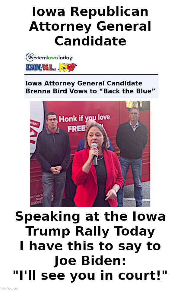 Brenna Bird to Joe Biden: "I'll see you in court!" - Imgflip