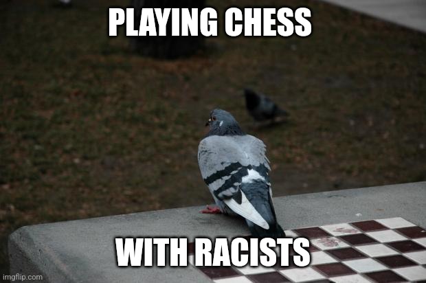 Pigeon Shitting on Chess Board - Imgflip