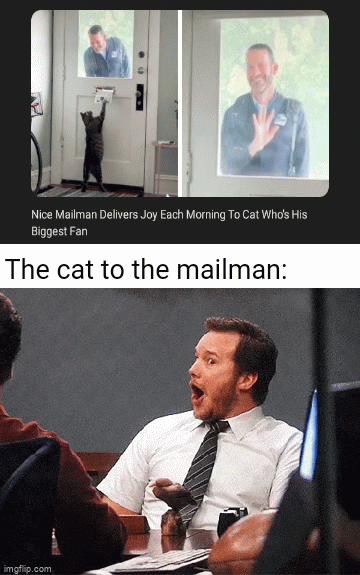 Cat and mailman - Imgflip