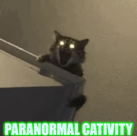 Paranormal - Imgflip
