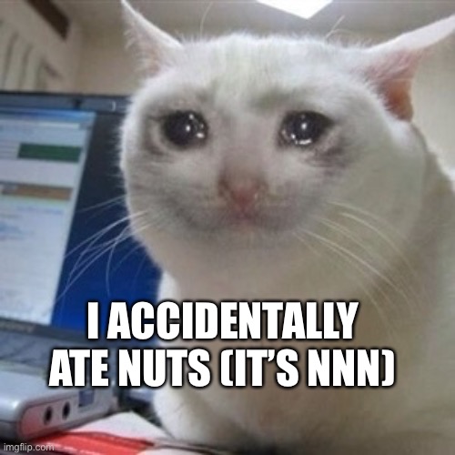 Crying cat - Imgflip