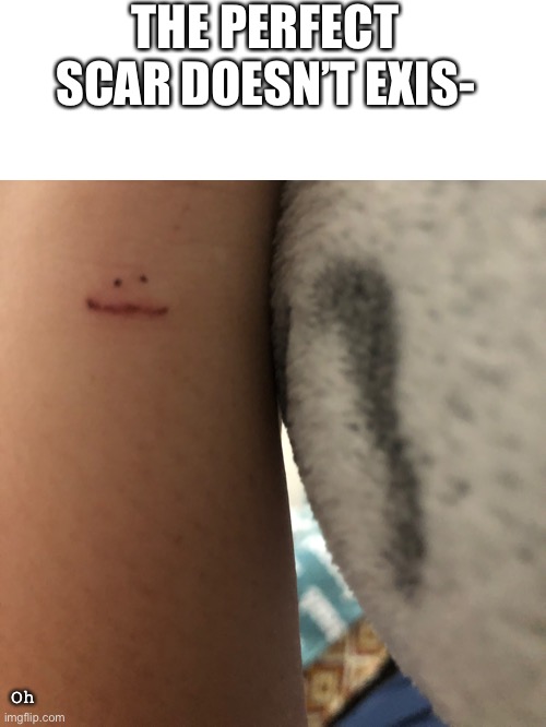 Perfection - Imgflip