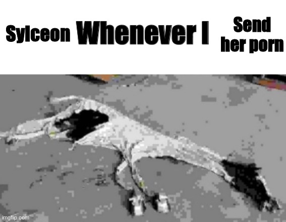 XD (mod note: h u h?) - Imgflip