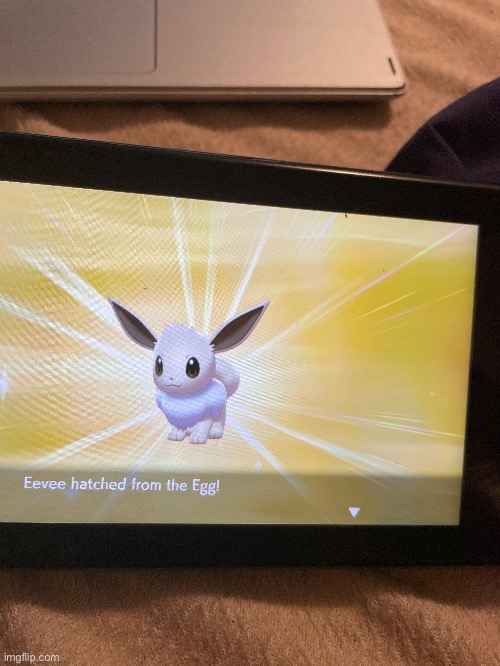 [8] shiny eevee in 954 eggs. Female too :) : r/ShinyPokemon