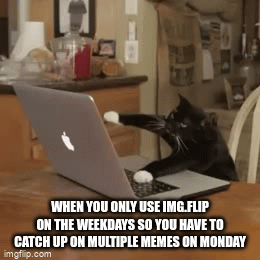 Seeing new memes on Monday be like... - Imgflip