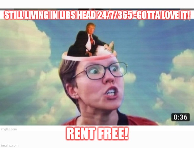 Trump on a stump - Imgflip