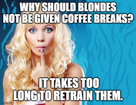 ditzy blonde - Imgflip