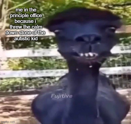 meme - Imgflip