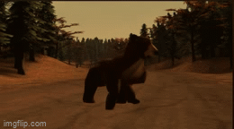 Bear - Imgflip