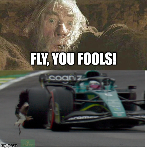 Fly, you fools! - Imgflip