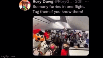 furry go boom - Imgflip