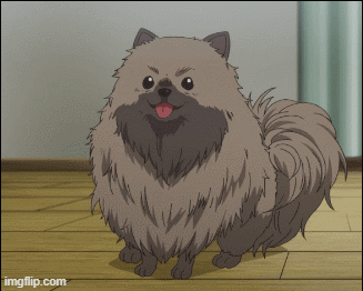 this is the cutest dog in anime ever ! - Imgflip