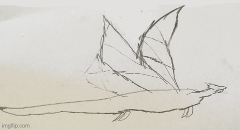 Animated GIF - Imgflip