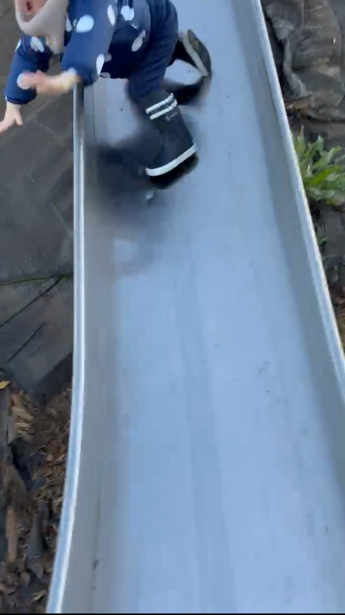 Tobogan Blank Template - Imgflip