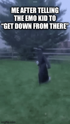 Original video https://imgflip.com/gif/70n1kx - Imgflip