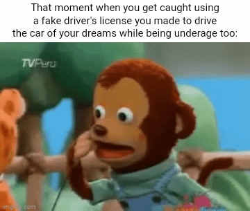 A fake driver's license - Imgflip