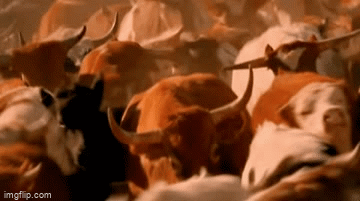 school fight - Imgflip