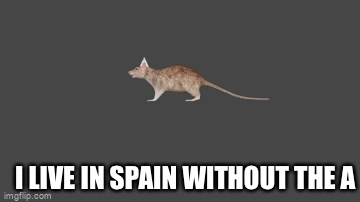 Spinning party rat - Imgflip