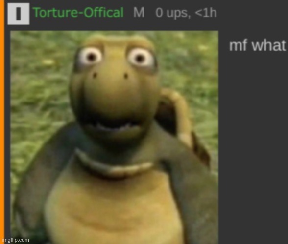 Imgflip