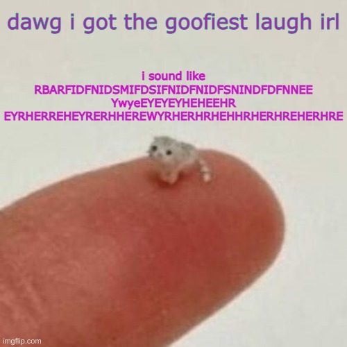 drm's el wiwi template - Imgflip