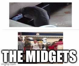 First I see the cat, then I see the midgets - Imgflip