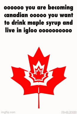 Animated GIF - Imgflip