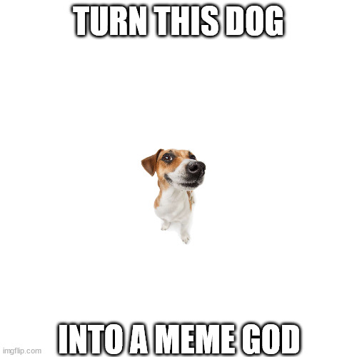 Add to it until it's a meme god. - Imgflip