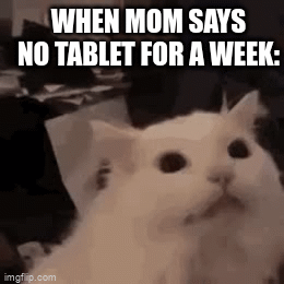 when mom says no tablet for a week: - Imgflip