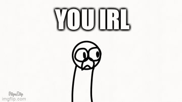 Irl - Imgflip