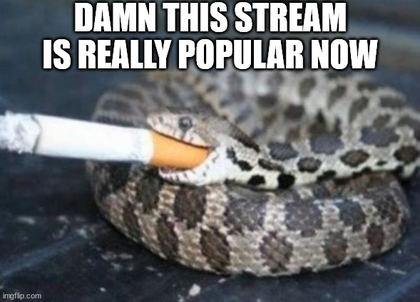Smoking Snake - Imgflip