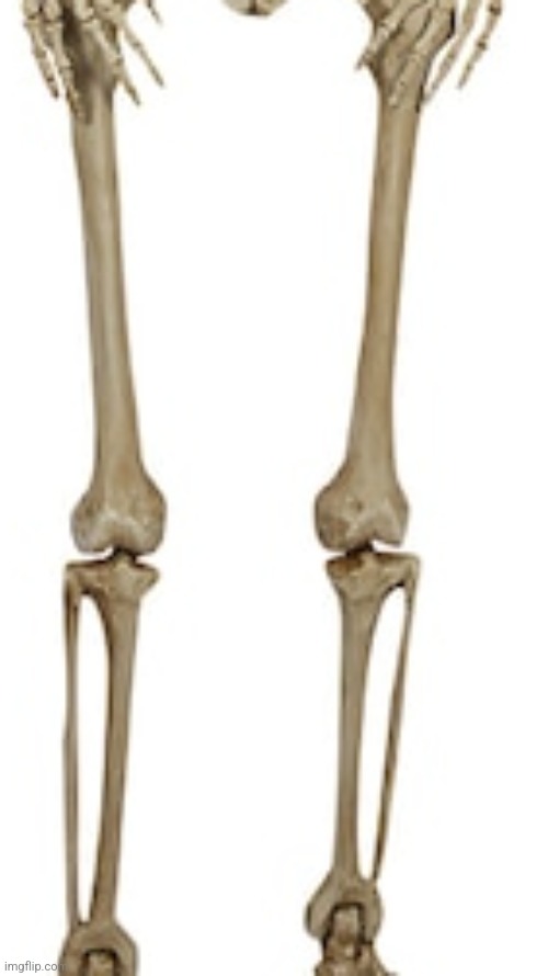 thigh reveal uwu - Imgflip