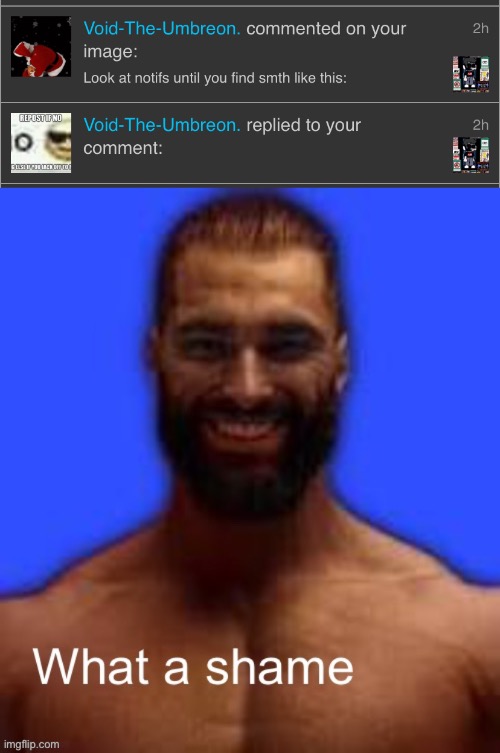 Image tagged in what a shame - Imgflip