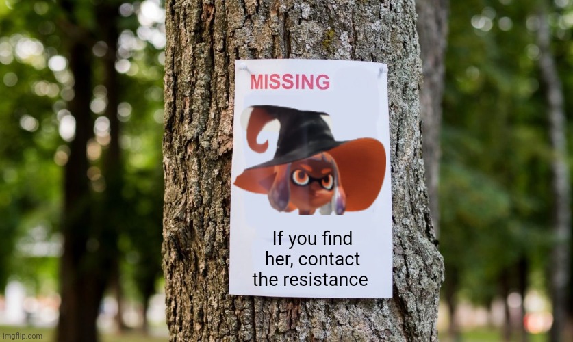 "Don't worry about her disappearance, the resistance and I will find ...