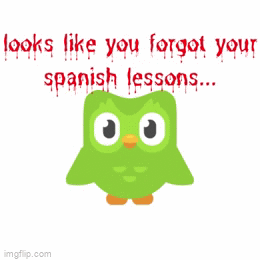 Image tagged in gifs,duolingo - Imgflip