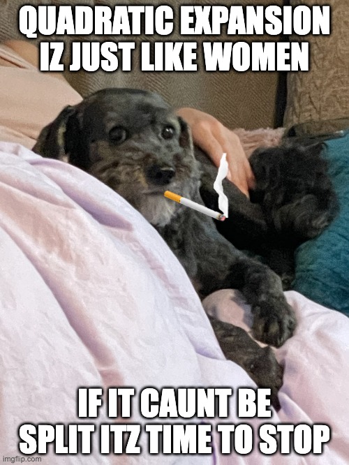 Dog of the Dizzle 3 - Imgflip