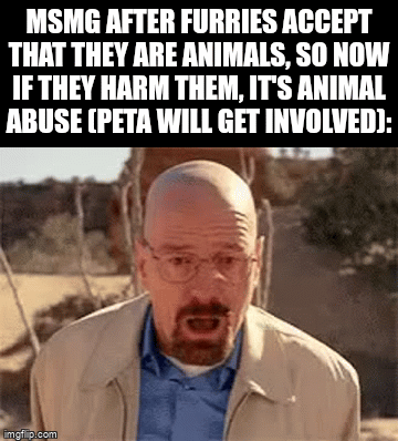 This is both offensive and neutral to both sides, LMAO - Imgflip
