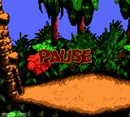 Donkey Kong 2001 GBC pause - Imgflip