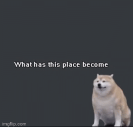 What has this place become - Imgflip