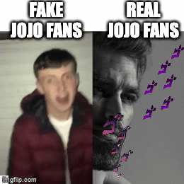 Average Fan vs Average Enjoyer - Imgflip