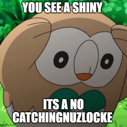 Rowlet Meme Template - Imgflip