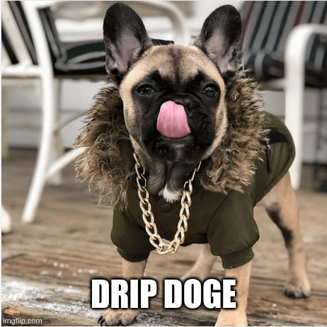 drippy doge - Imgflip