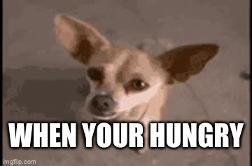 i want sum taco bell - Imgflip